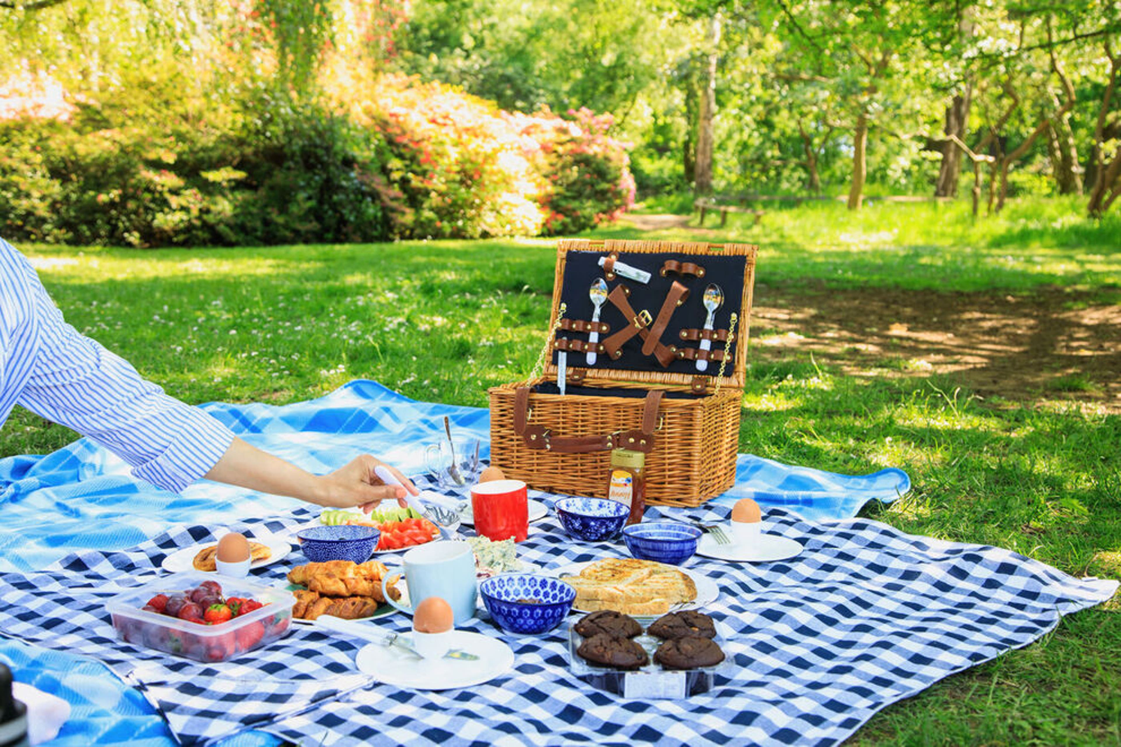 Picnic ideas and essentials for the best day at the park