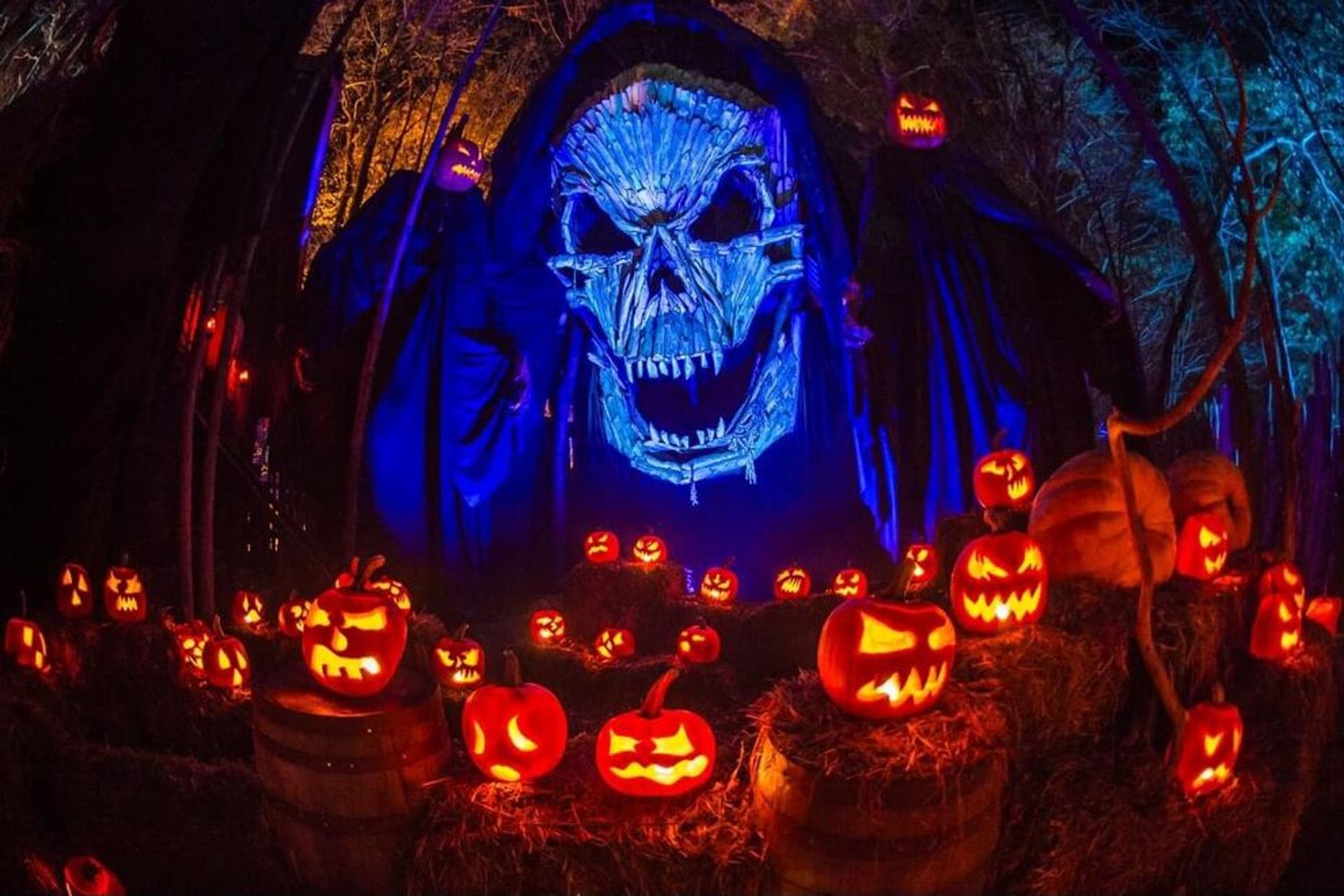 What is the Best Haunted House / Attraction for 2025?