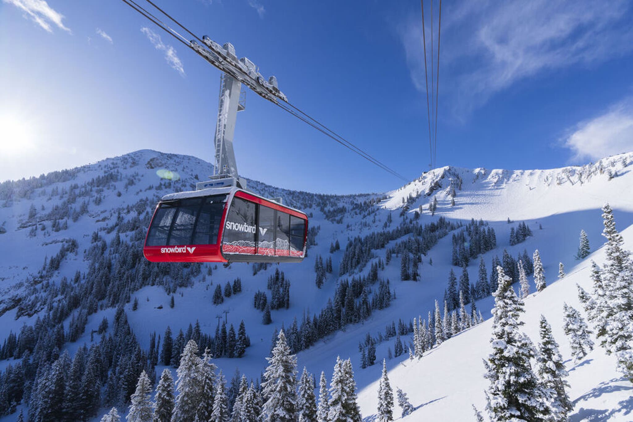 Snowbird Resort