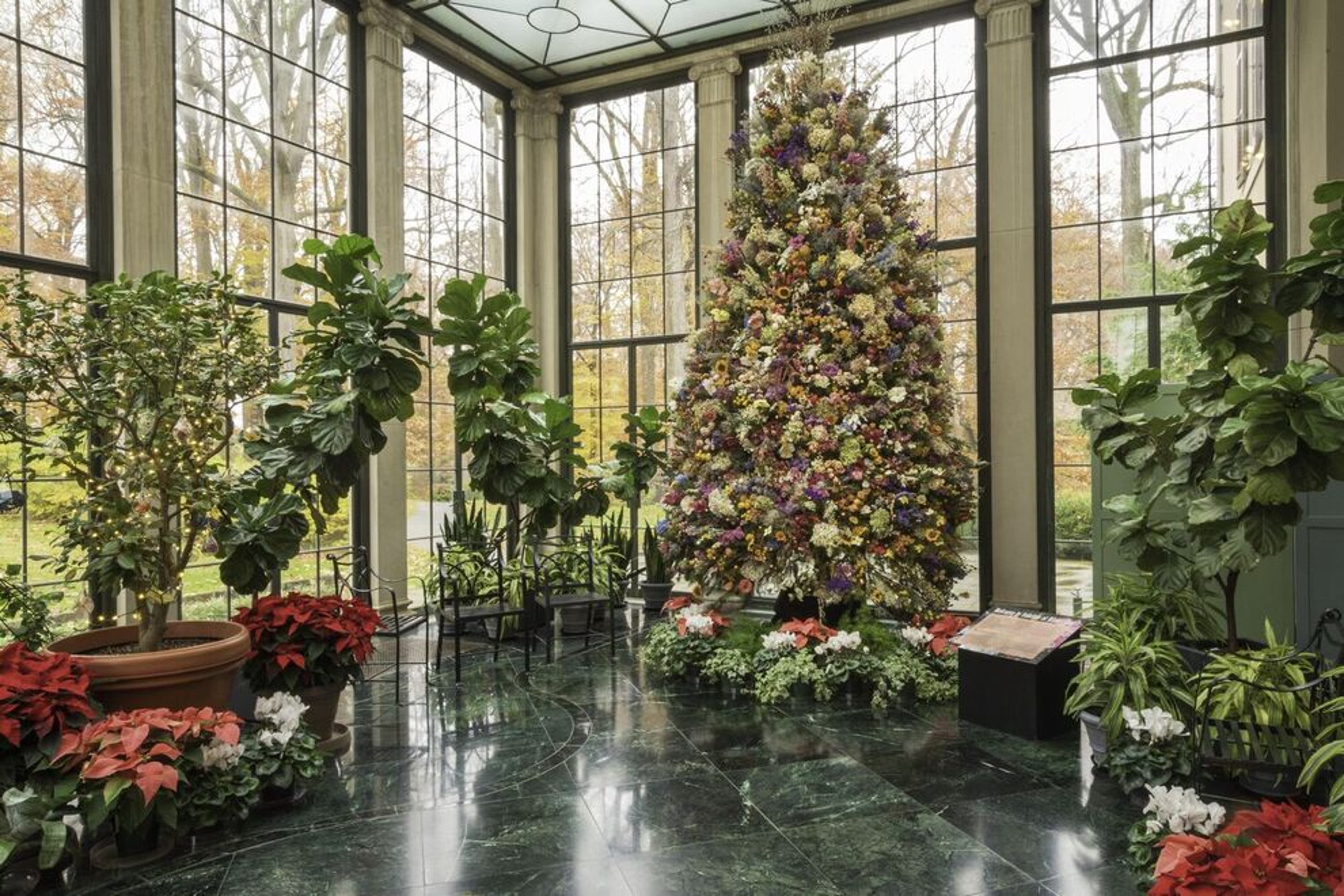 Winterthur Museum Garden And Library Winter Whispers Its Secrets In A