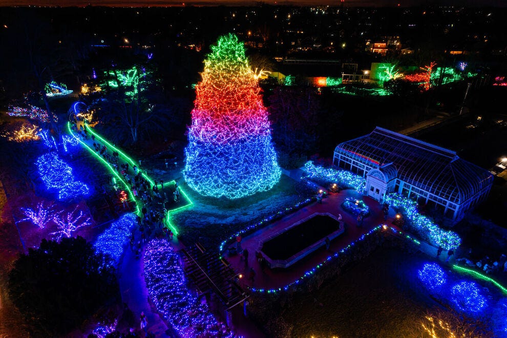 Lights Before Christmas at Toledo Zoo