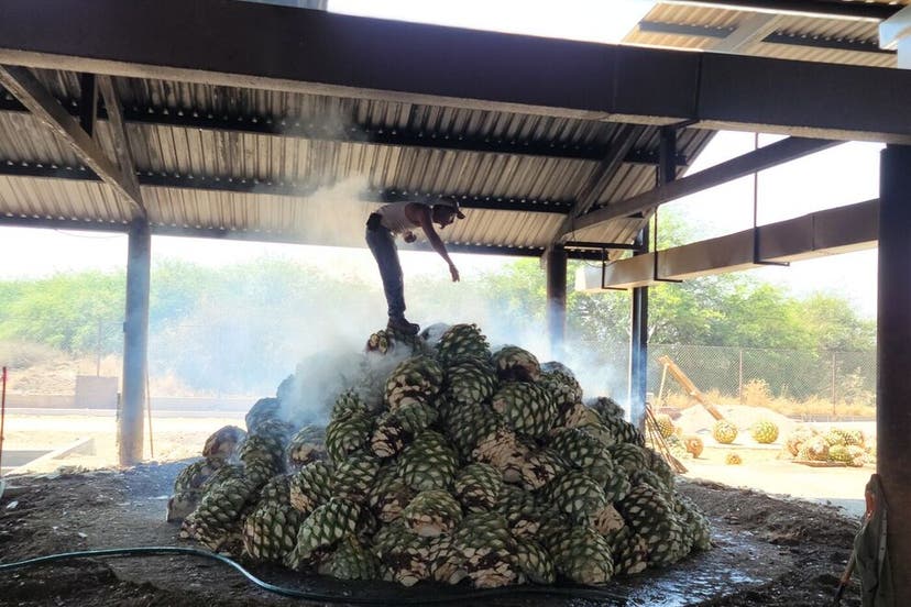 10 best mezcals that smoke the competition