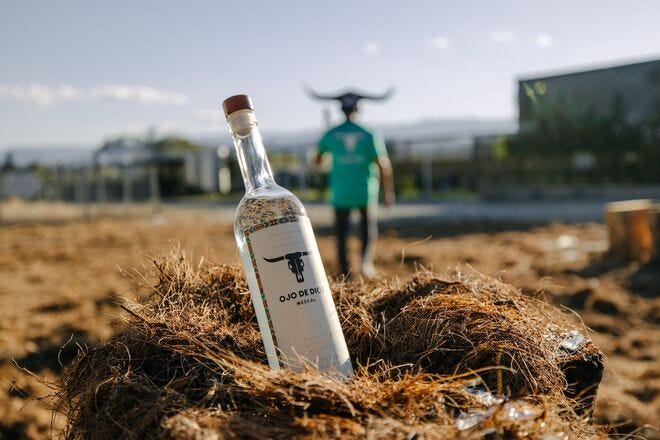 10 best mezcals that smoke the competition