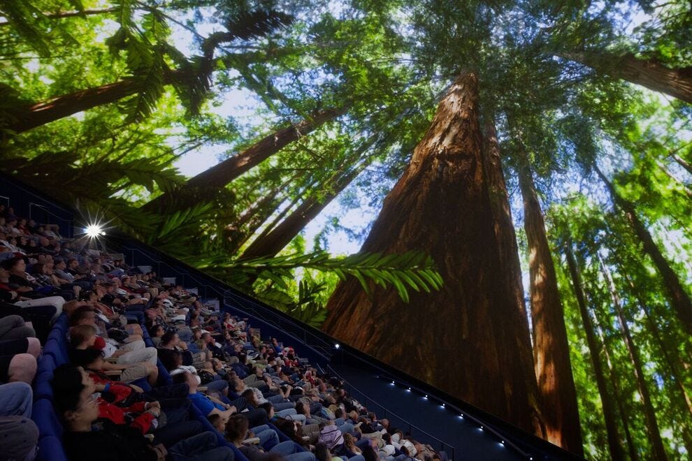 Morrison Planetarium at California Academy of Sciences: 2026 USA TODAY ...