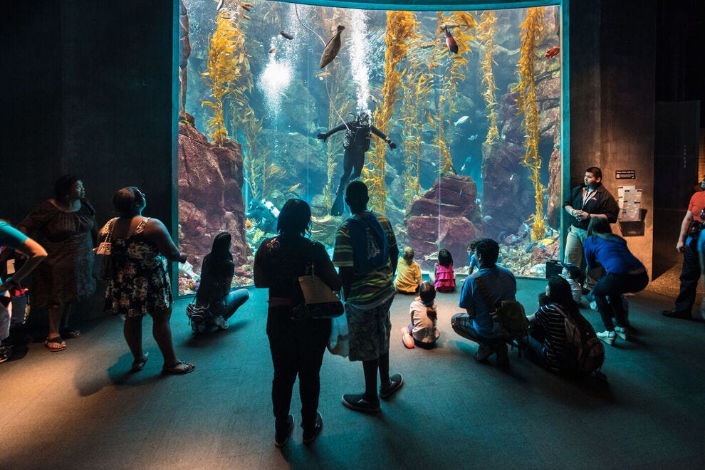 California Science Center