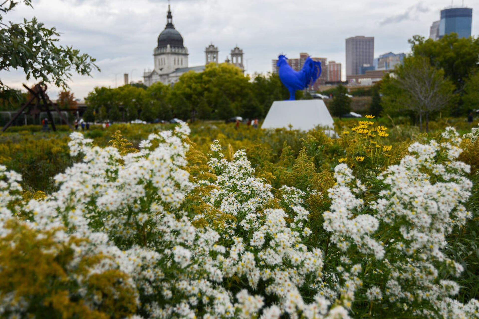 Minneapolis Sculpture Garden: 2026 USA TODAY 10BEST Readers' Choice Awards