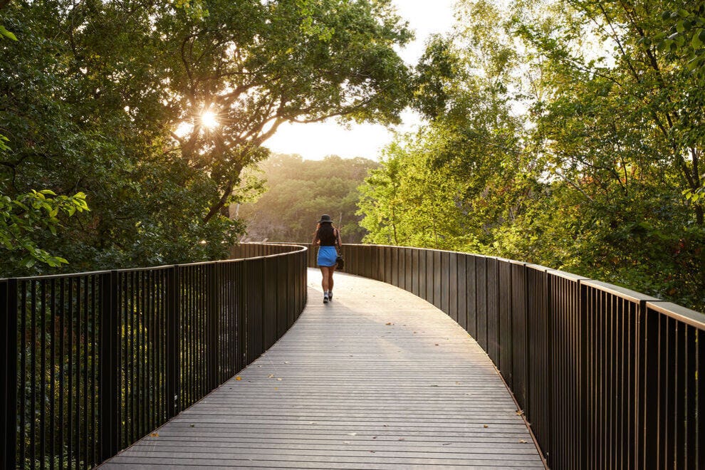 Treetop Trail at Minnesota Zoo