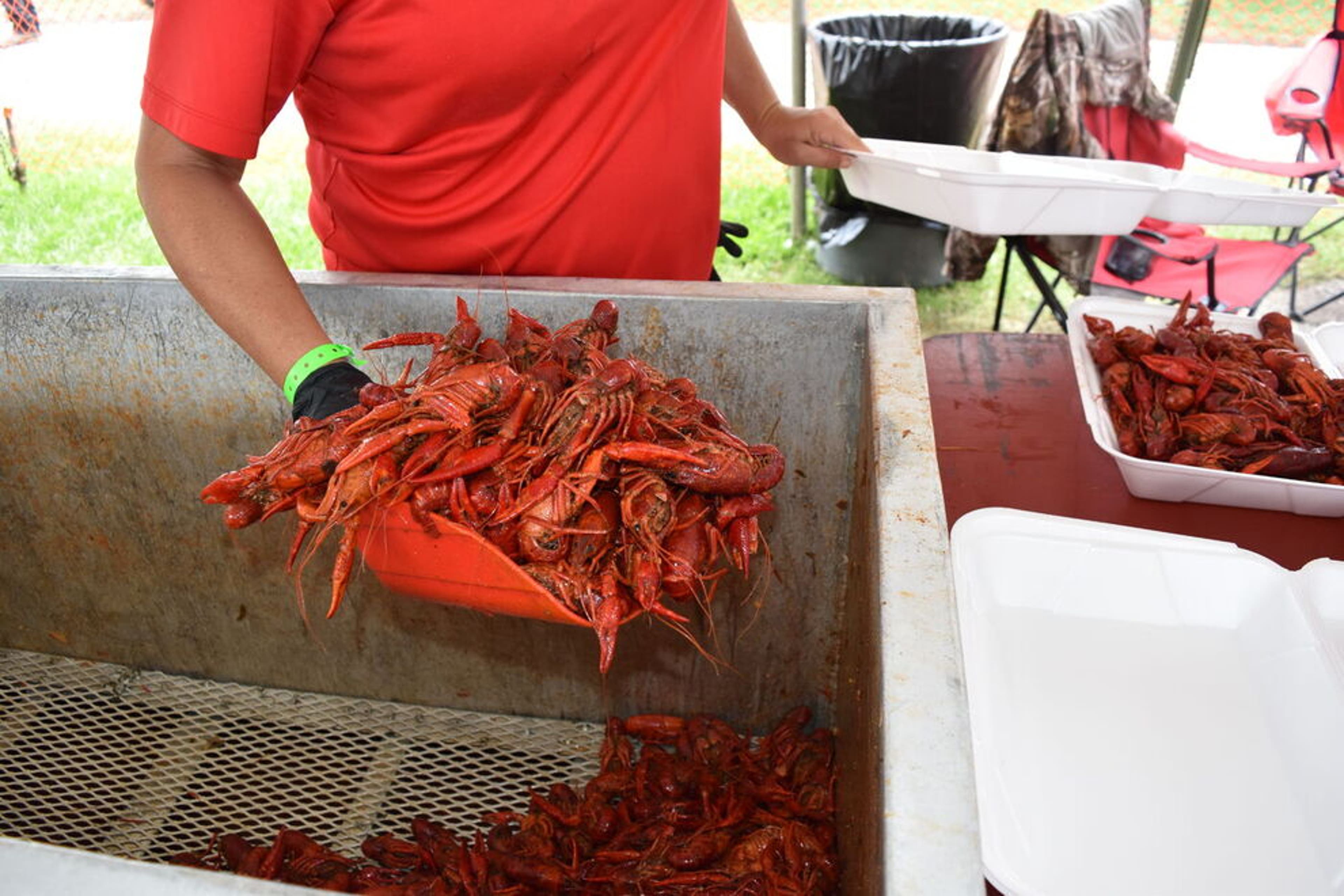 Breaux Bridge Crawfish Festival: 2026 USA TODAY 10BEST Readers' Choice ...