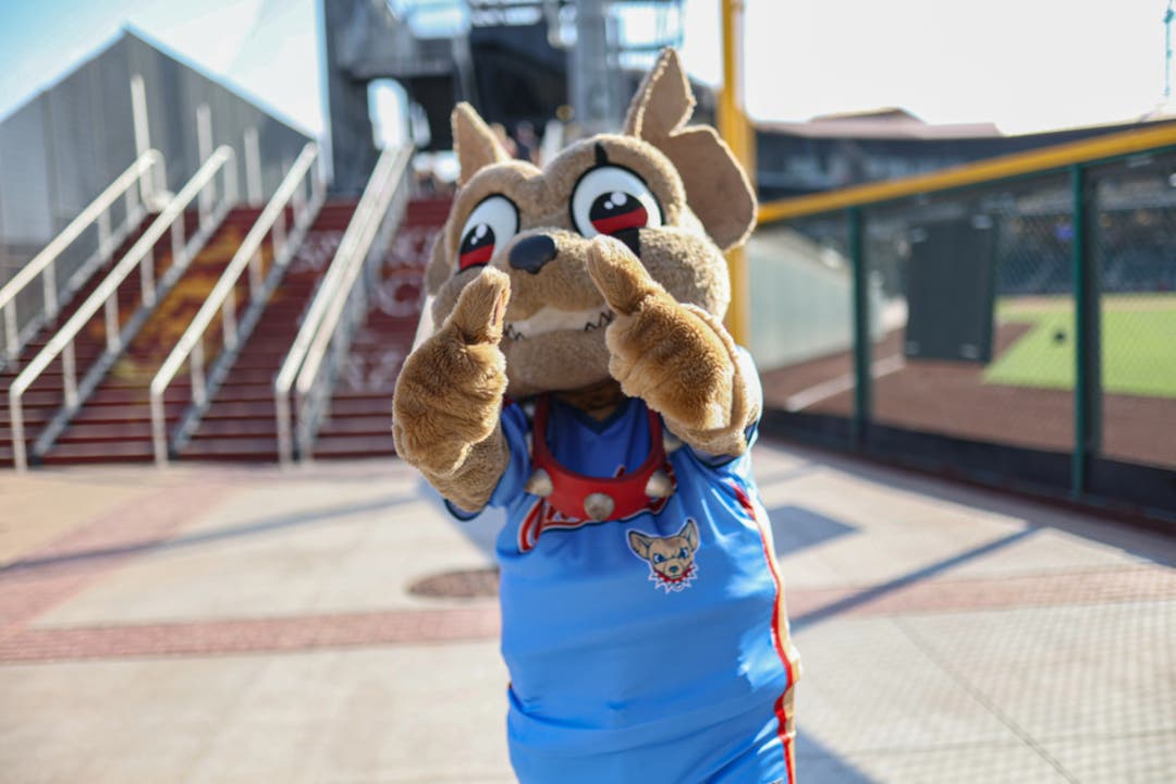 10 best minor league baseball mascots that are a hit with fans