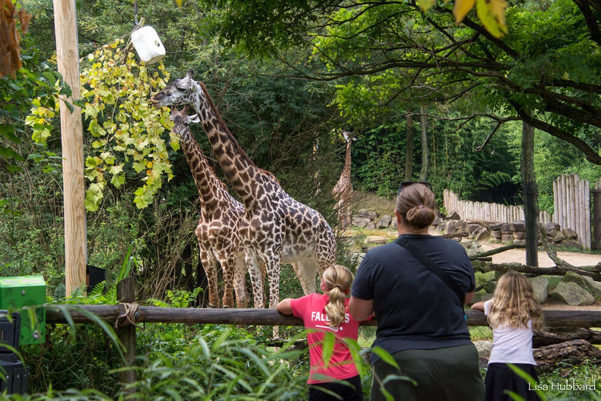 10 best zoo memberships at zoos across the US