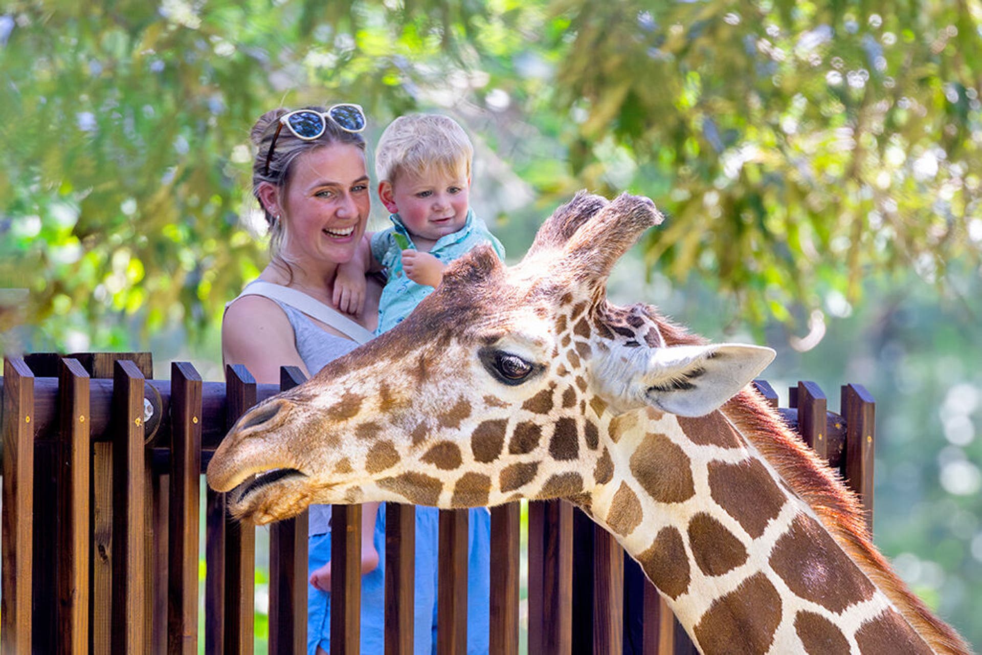 10 best zoo memberships at zoos across the US