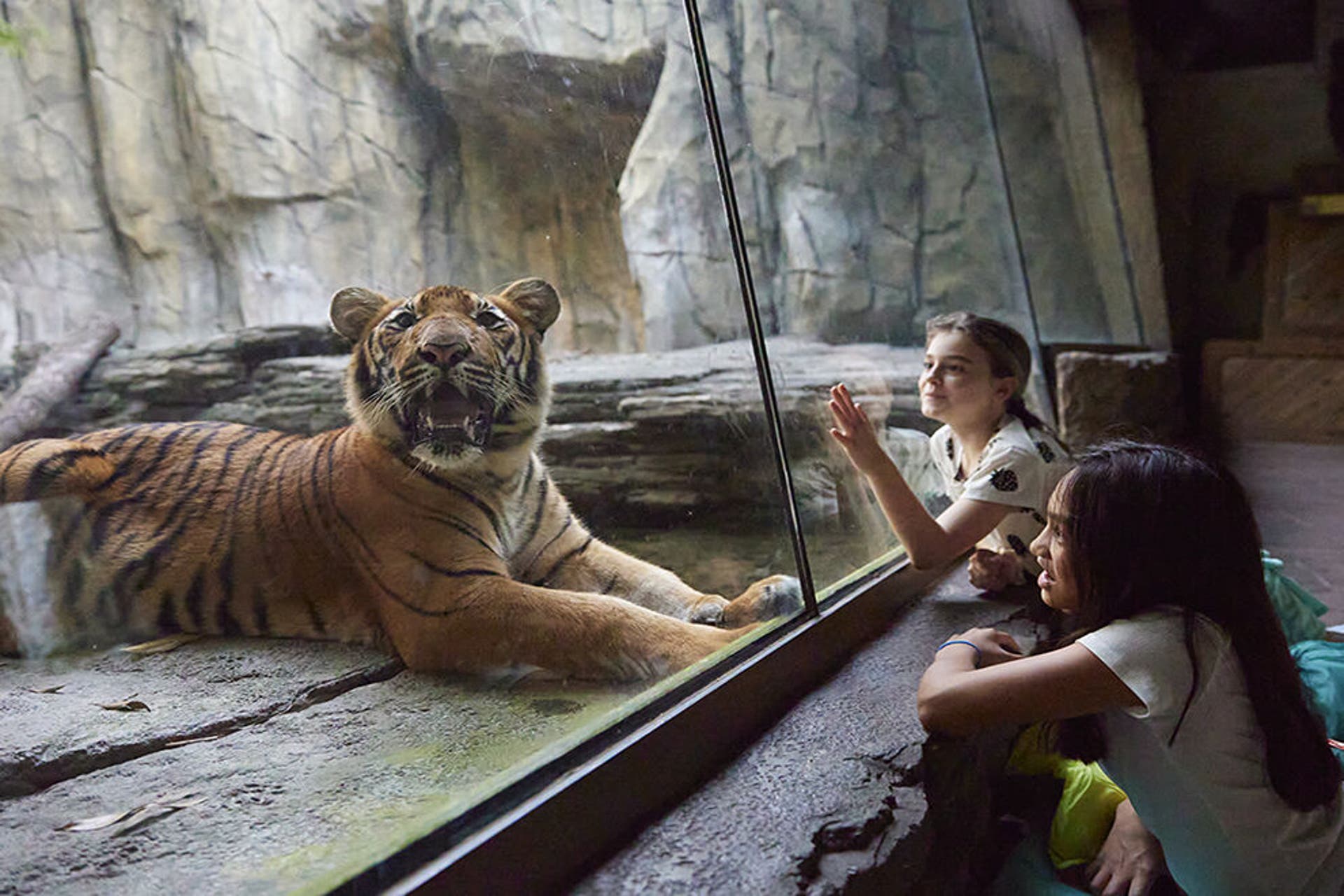 10 best zoos across the United States in 2025