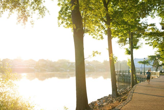 What is the Best Riverwalk for 2025?