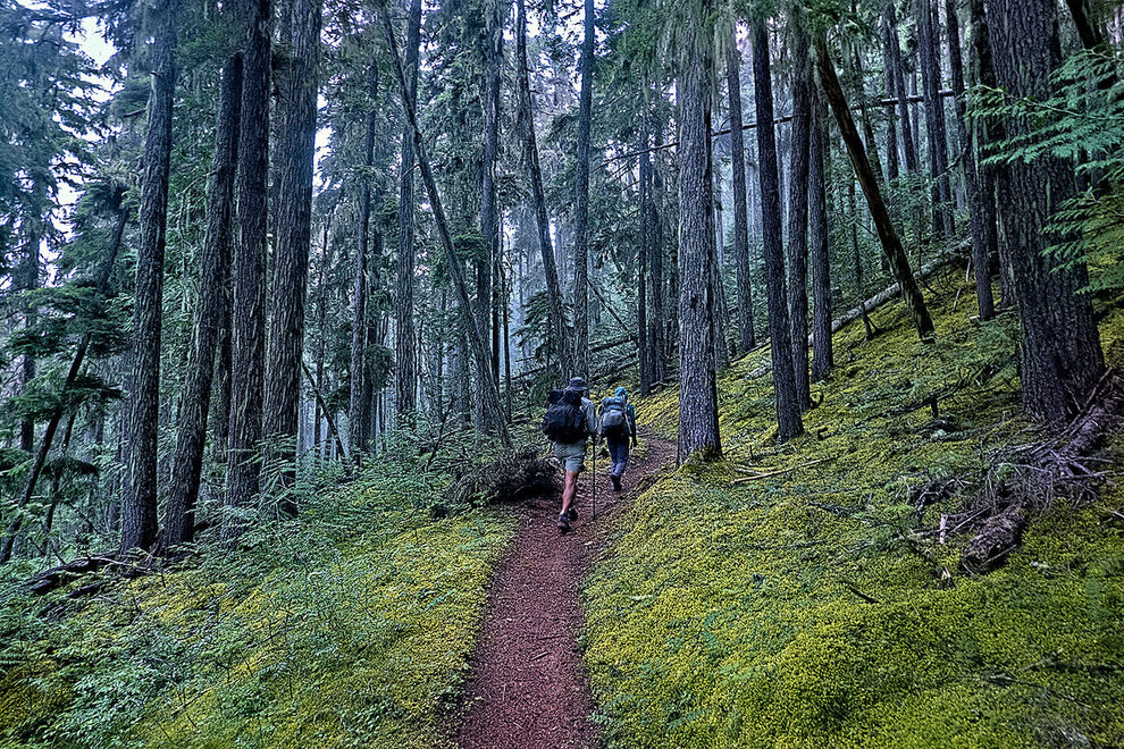 Explore the glory of America's 11 National Scenic Trails