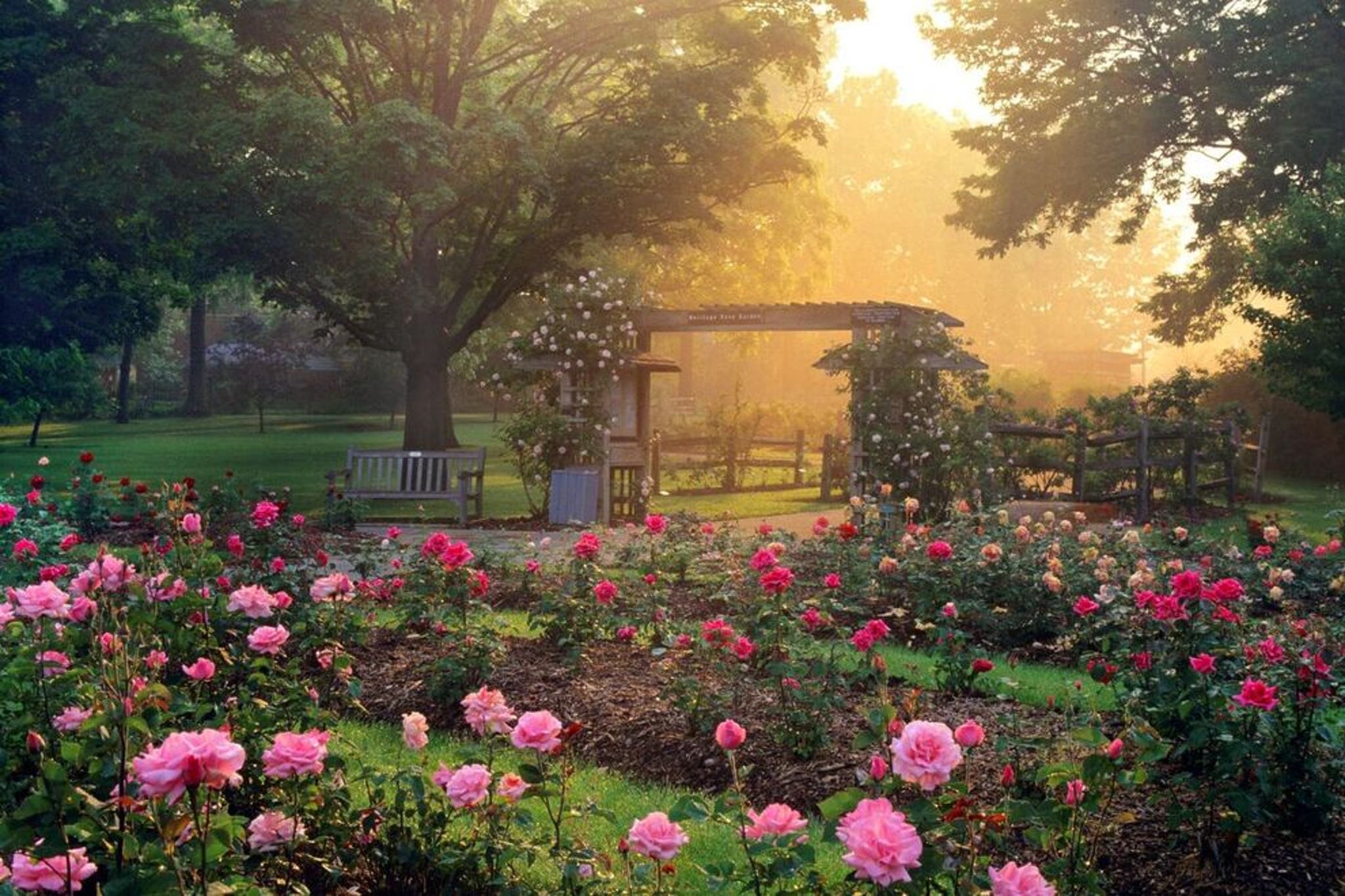 Stop to smell spring flowers in full bloom: 7 stunning US destinations