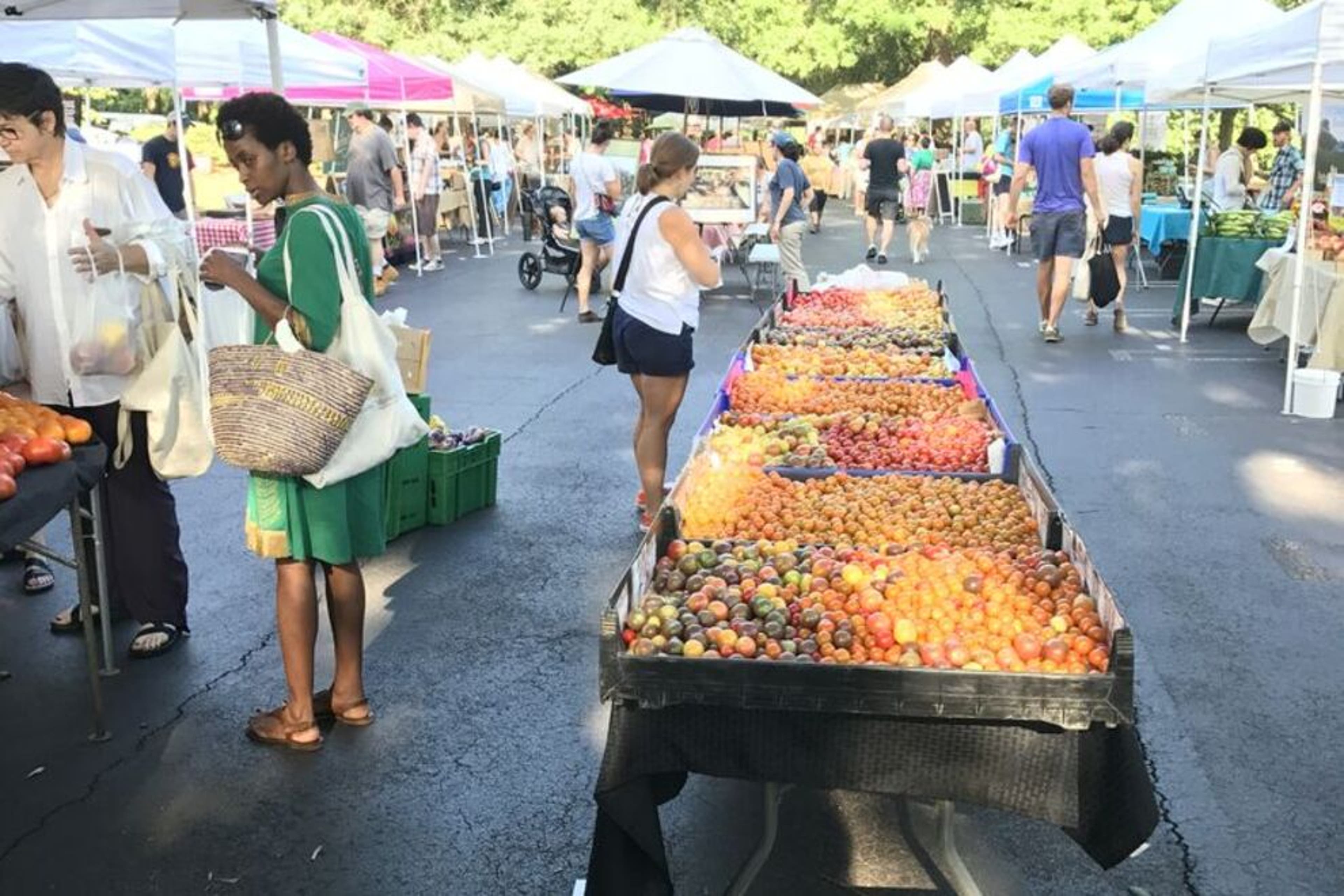 Freedom Farmers Market
