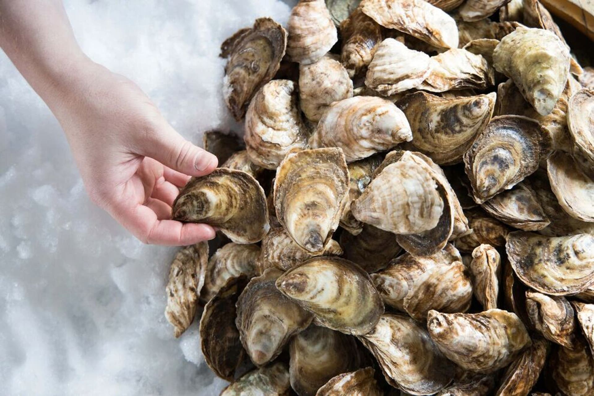 The ultimate guide to Prince Edward Island oysters