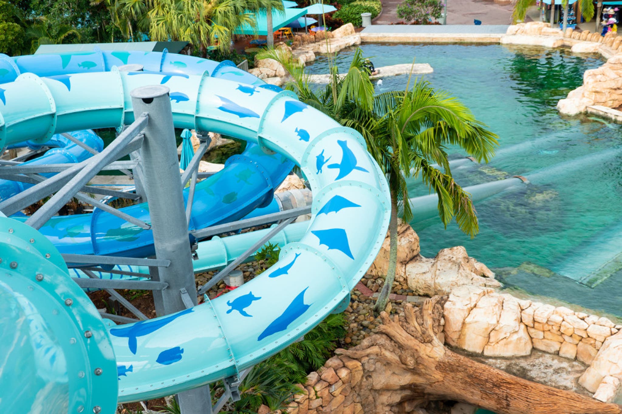 Reef Plunge at Aquatica Orlando