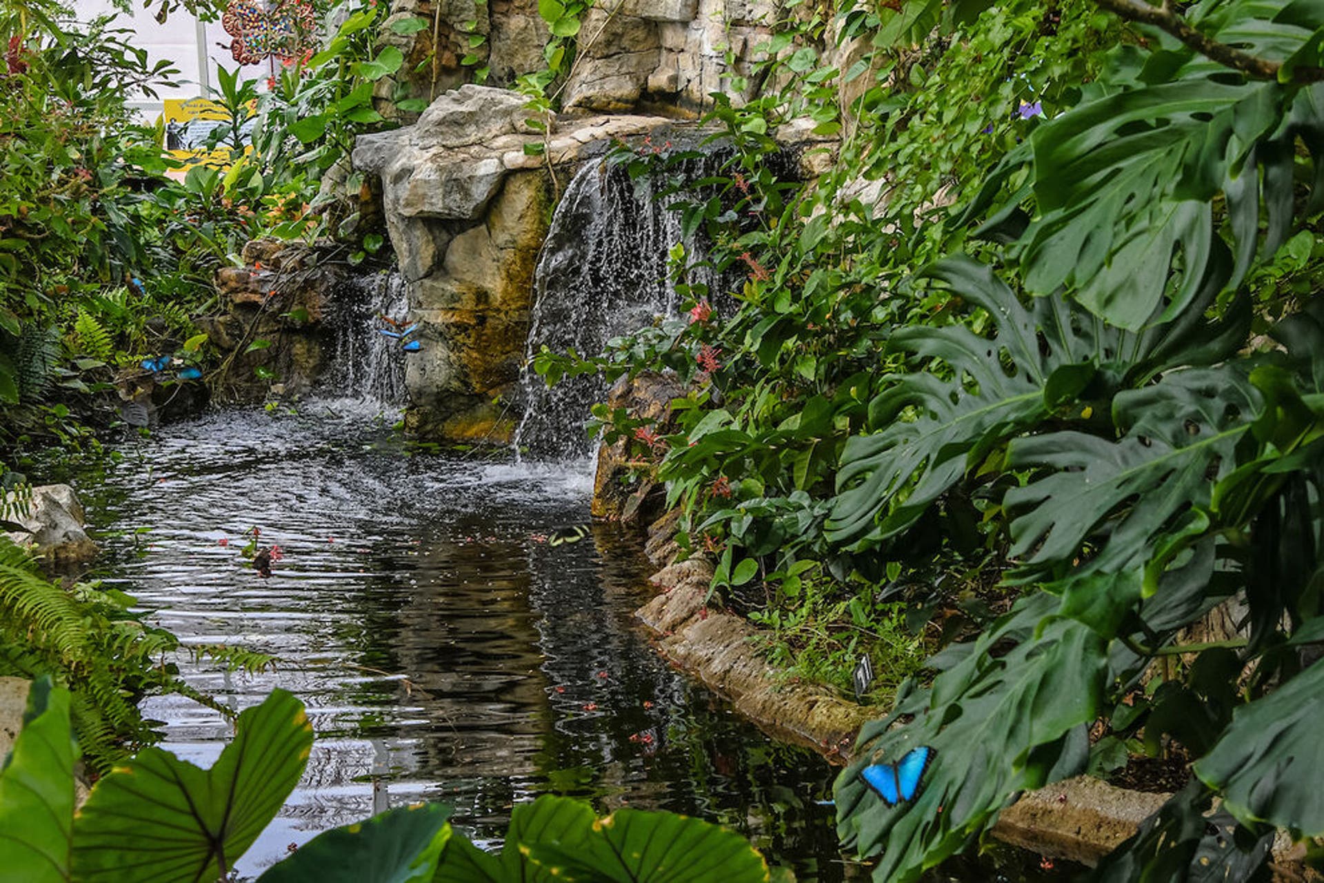 10 best butterfly gardens in the US