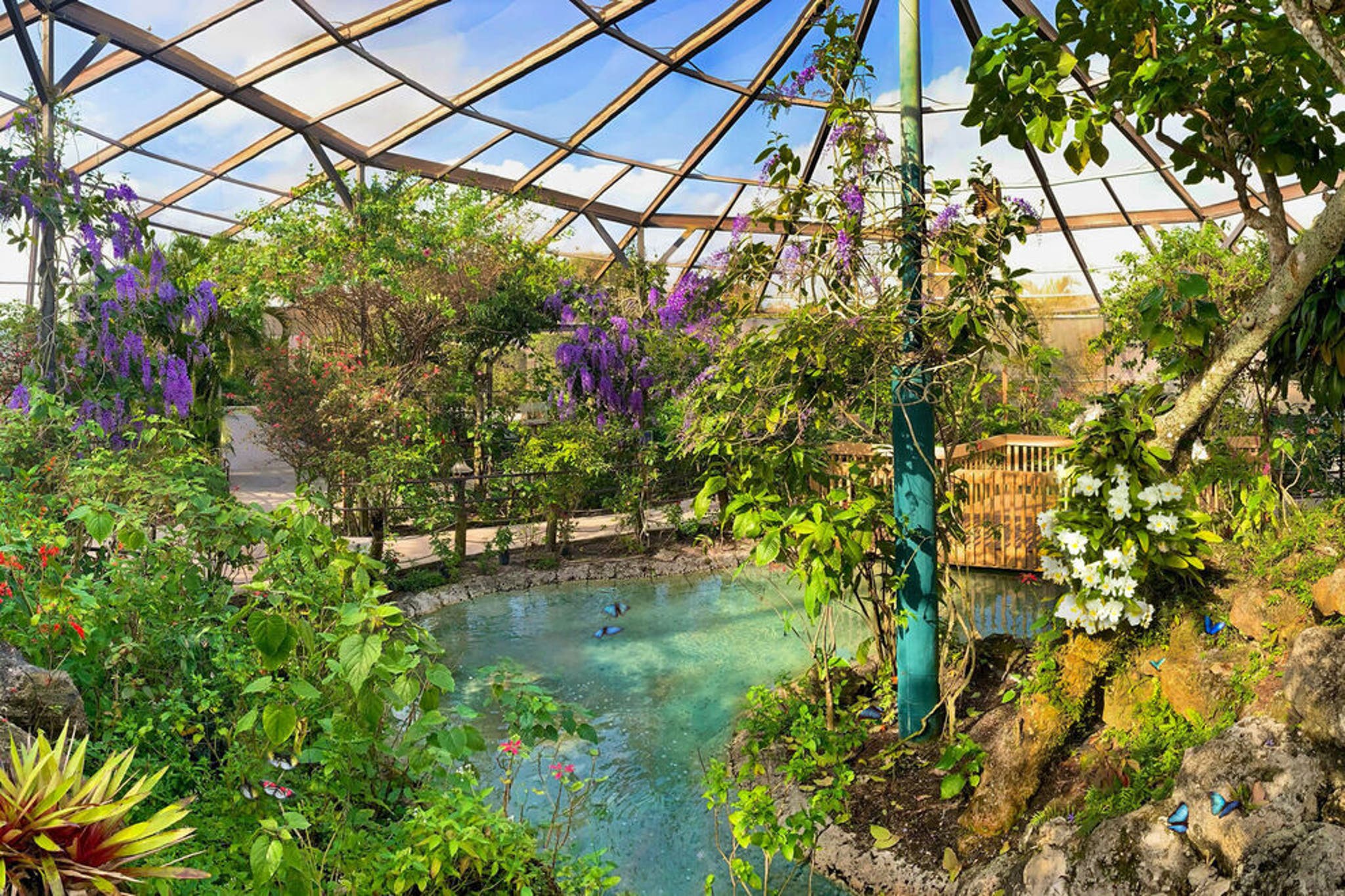 Butterfly World: 2025 USA TODAY 10BEST Readers' Choice Awards