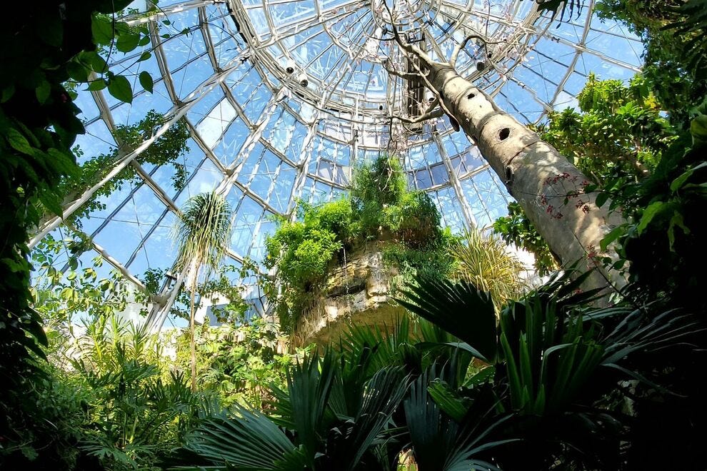Cockrell Butterfly Center at the Houston Museum of Natural Science