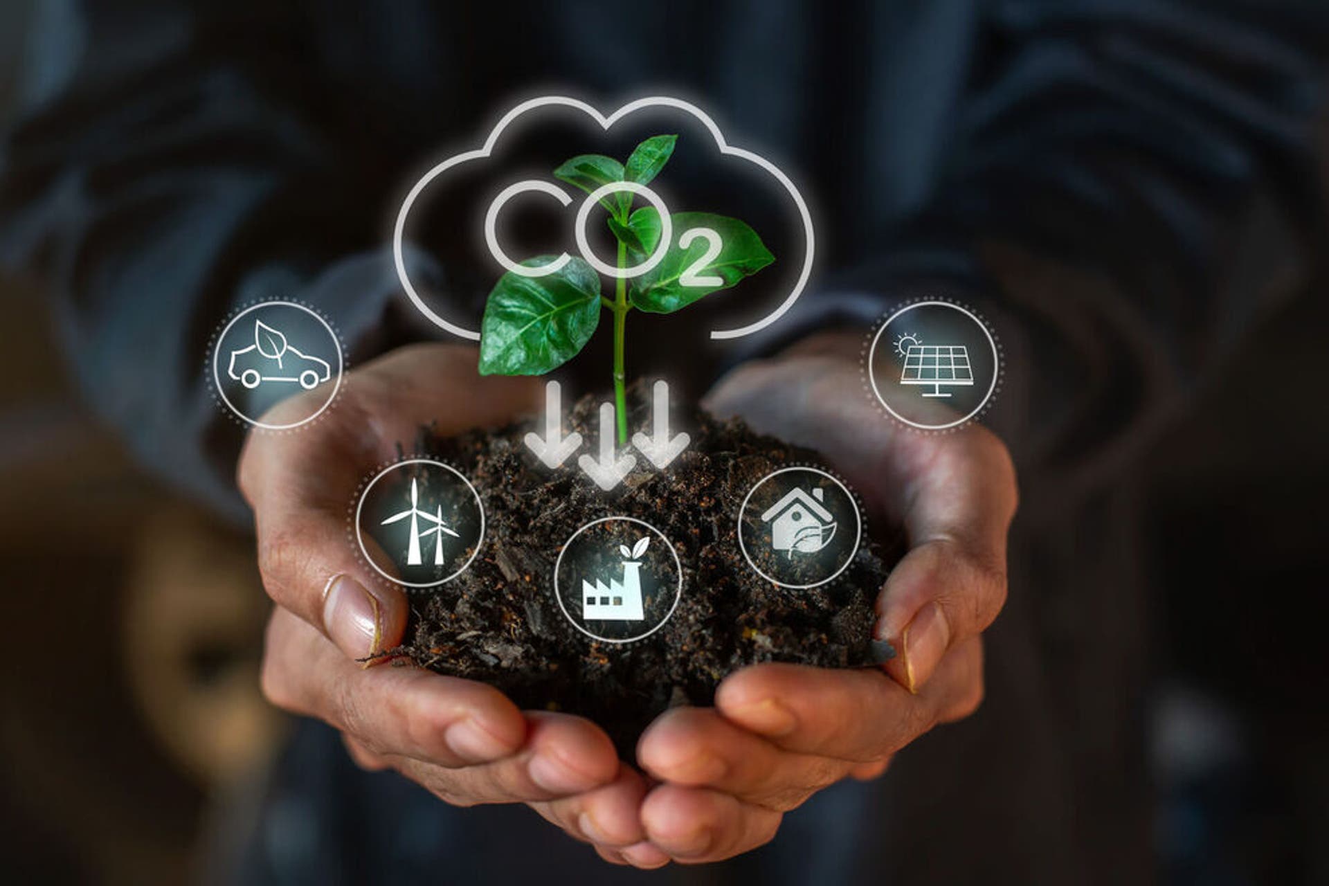 How to reduce your carbon footprint in 10 easy steps