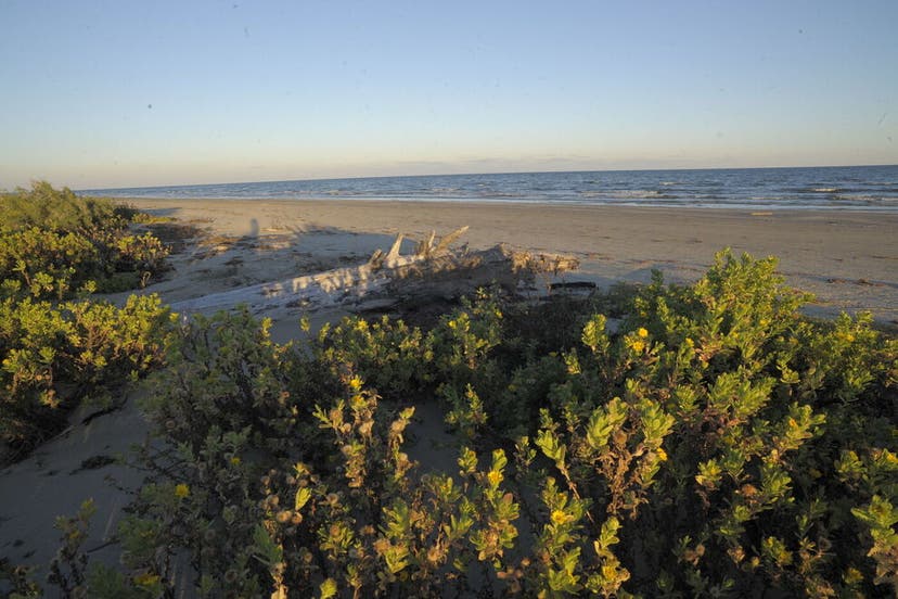 10 best beaches in Texas: Explore the state's coastal gems