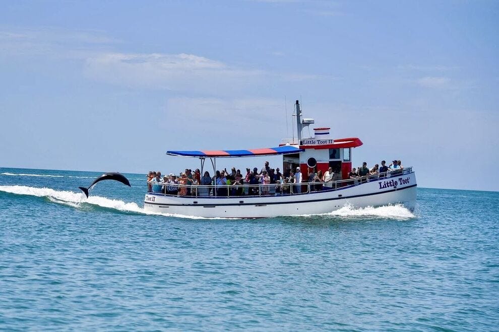 Little Toot Dolphin Adventure