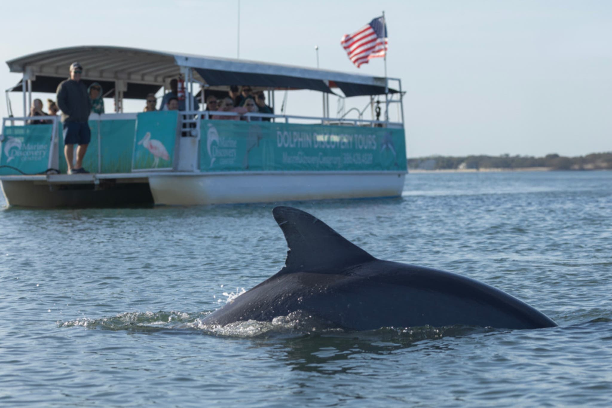 Marine Discovery Center: 2025 USA TODAY 10BEST Readers' Choice Awards