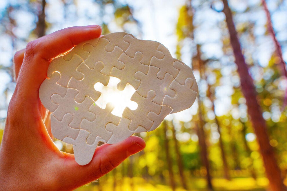 Piecing together the benefits of jigsaw puzzles and the ones to try