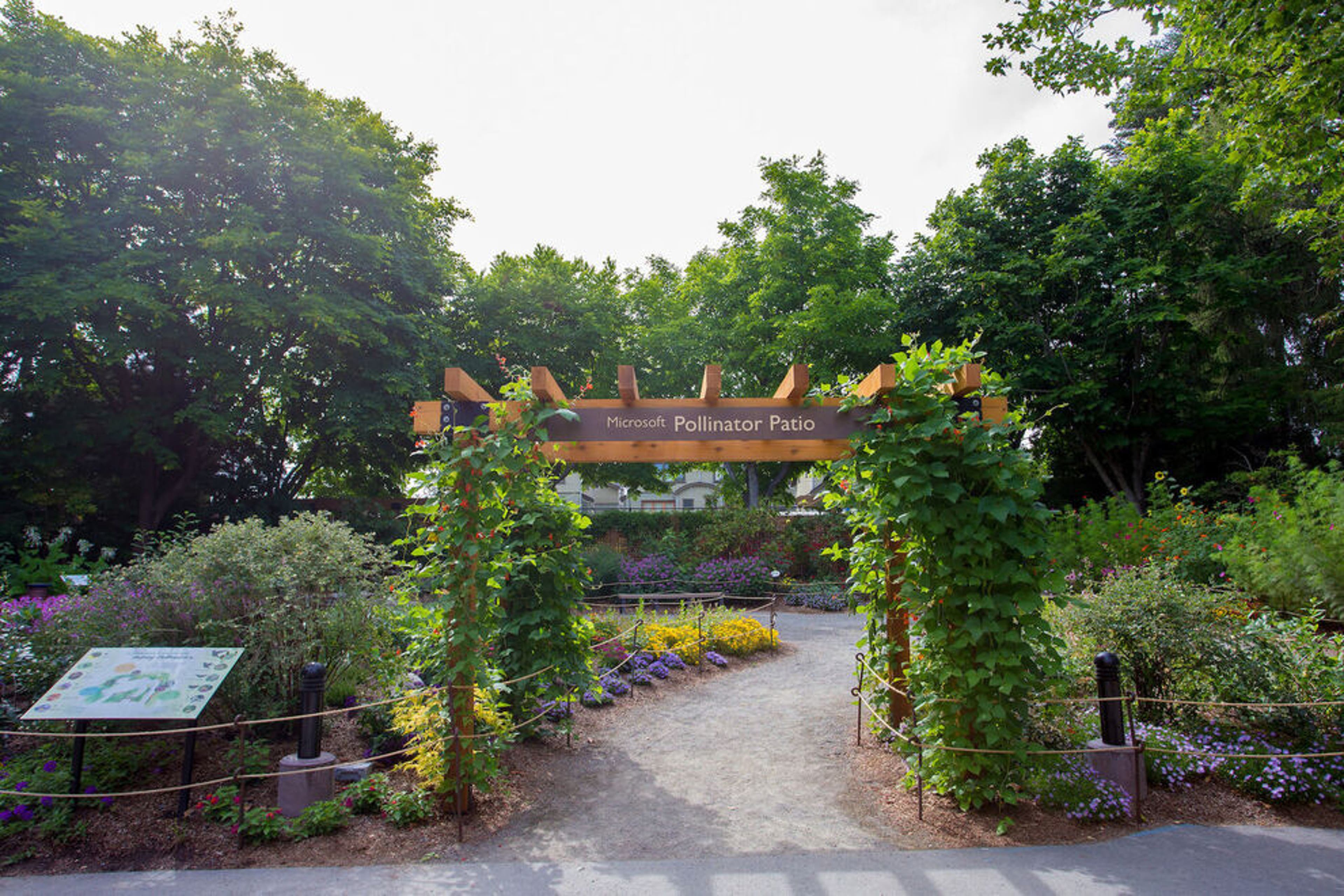 Butterfly Garden and Microsoft Pollinator Patio at Woodland Park Zoo ...