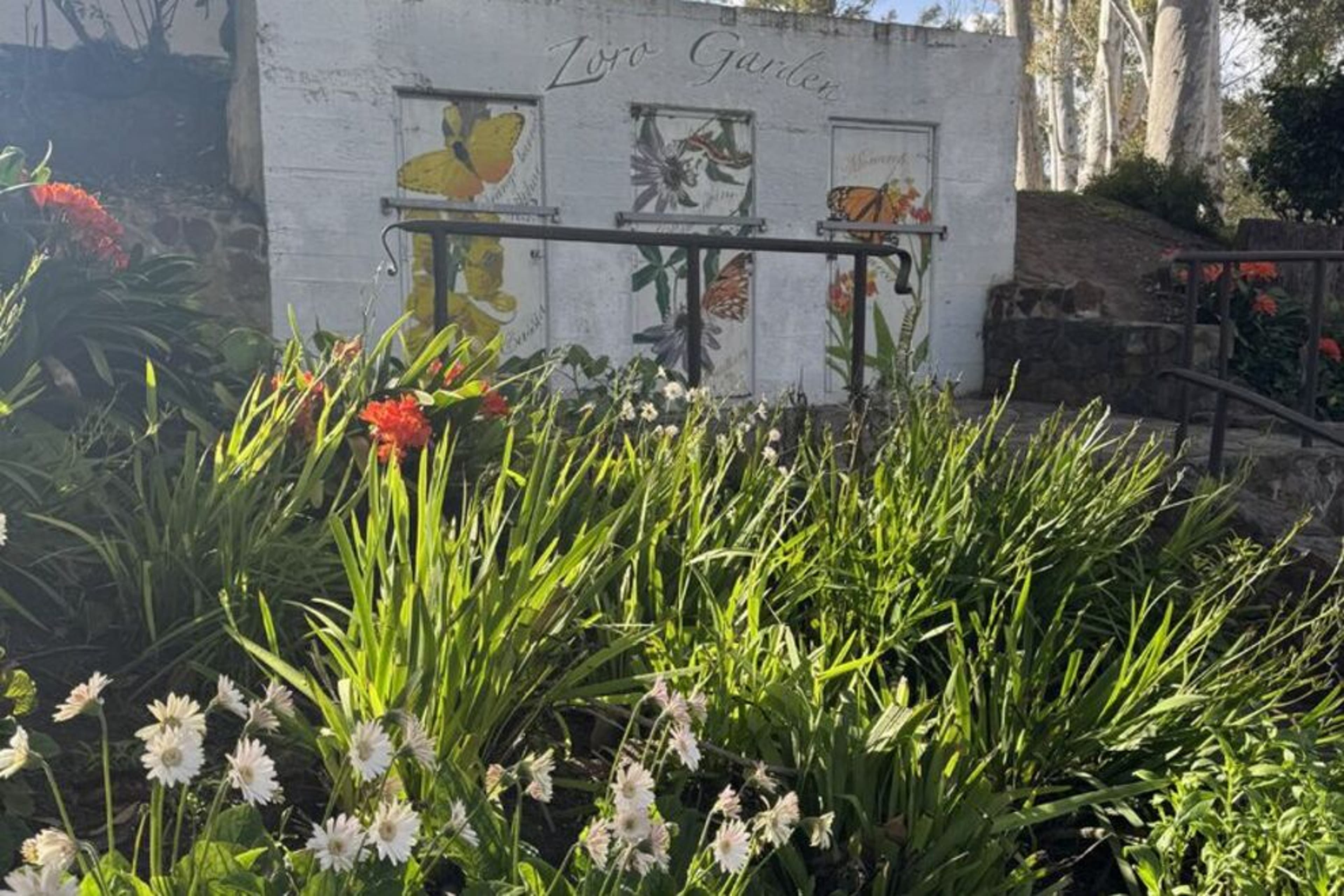 Zoro Garden at Balboa Park