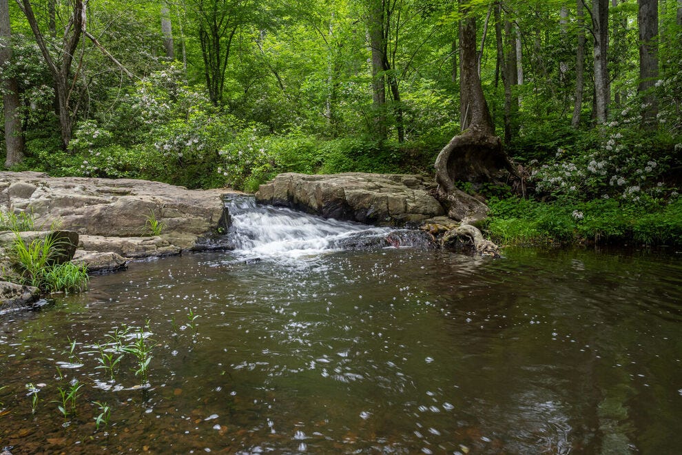 Quantico Cascades Trail