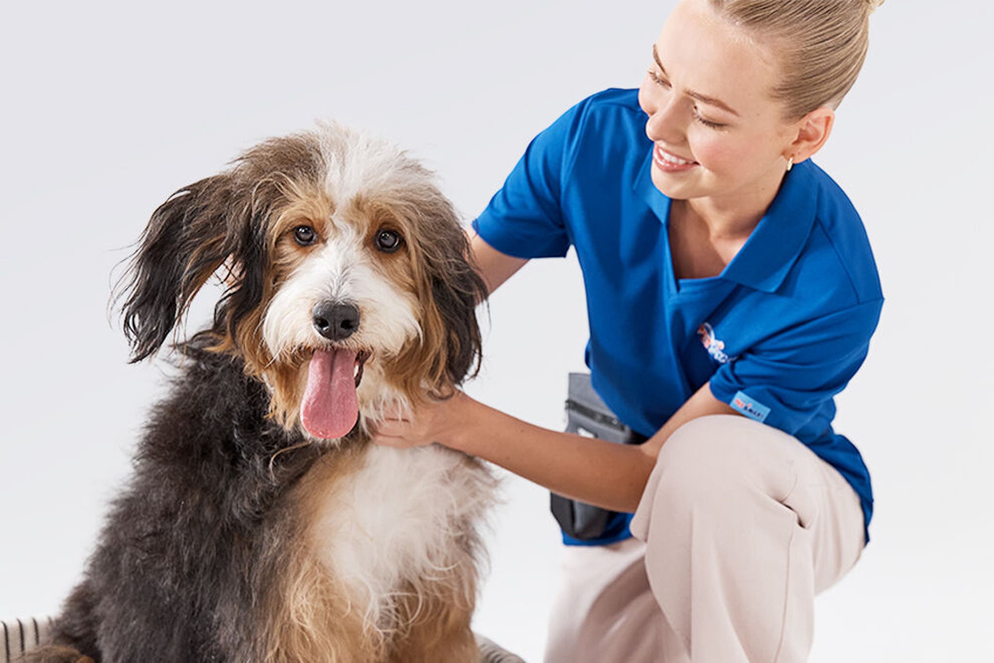 10 best pet stores in the United States