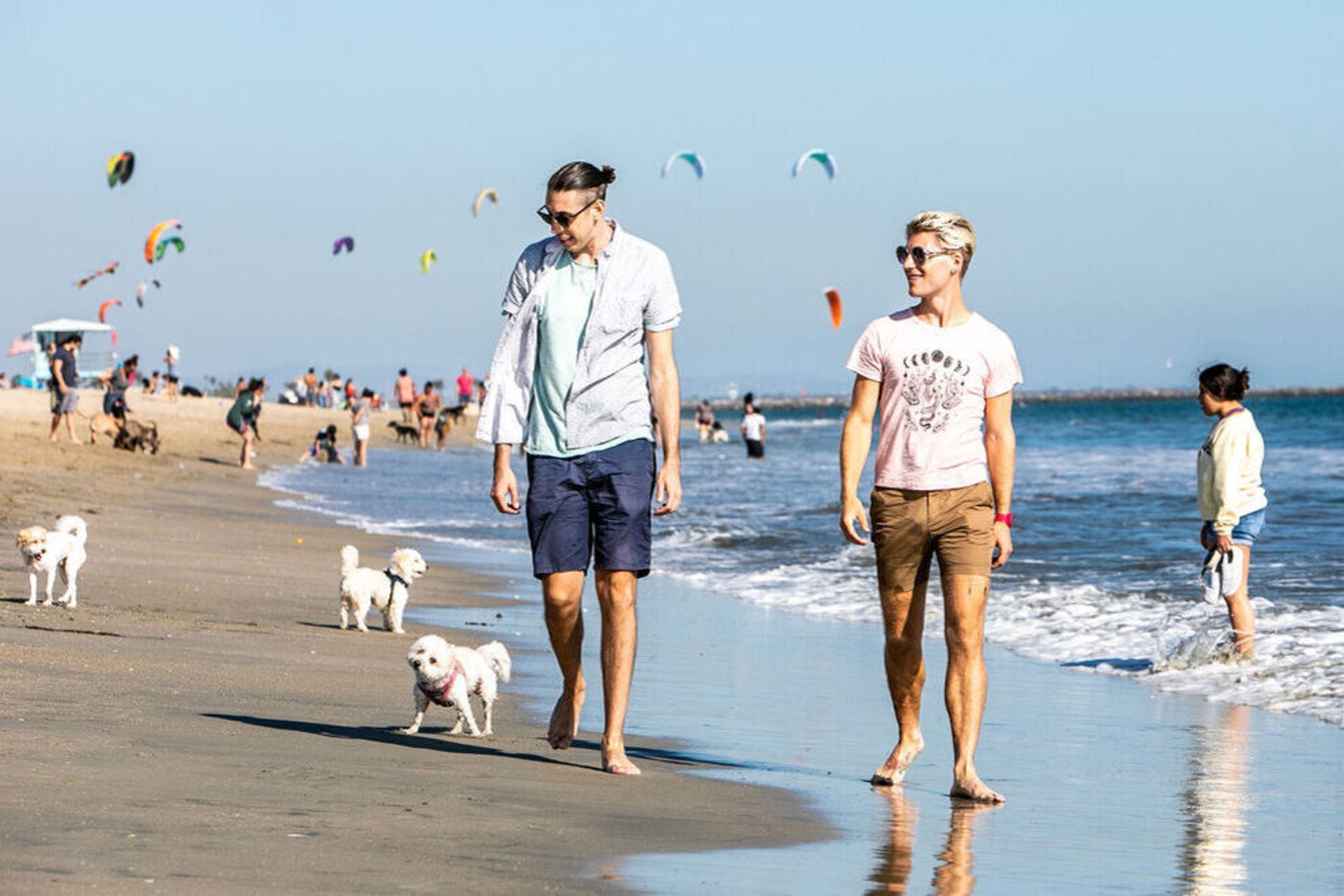 10 best dog-friendly beaches across the United States