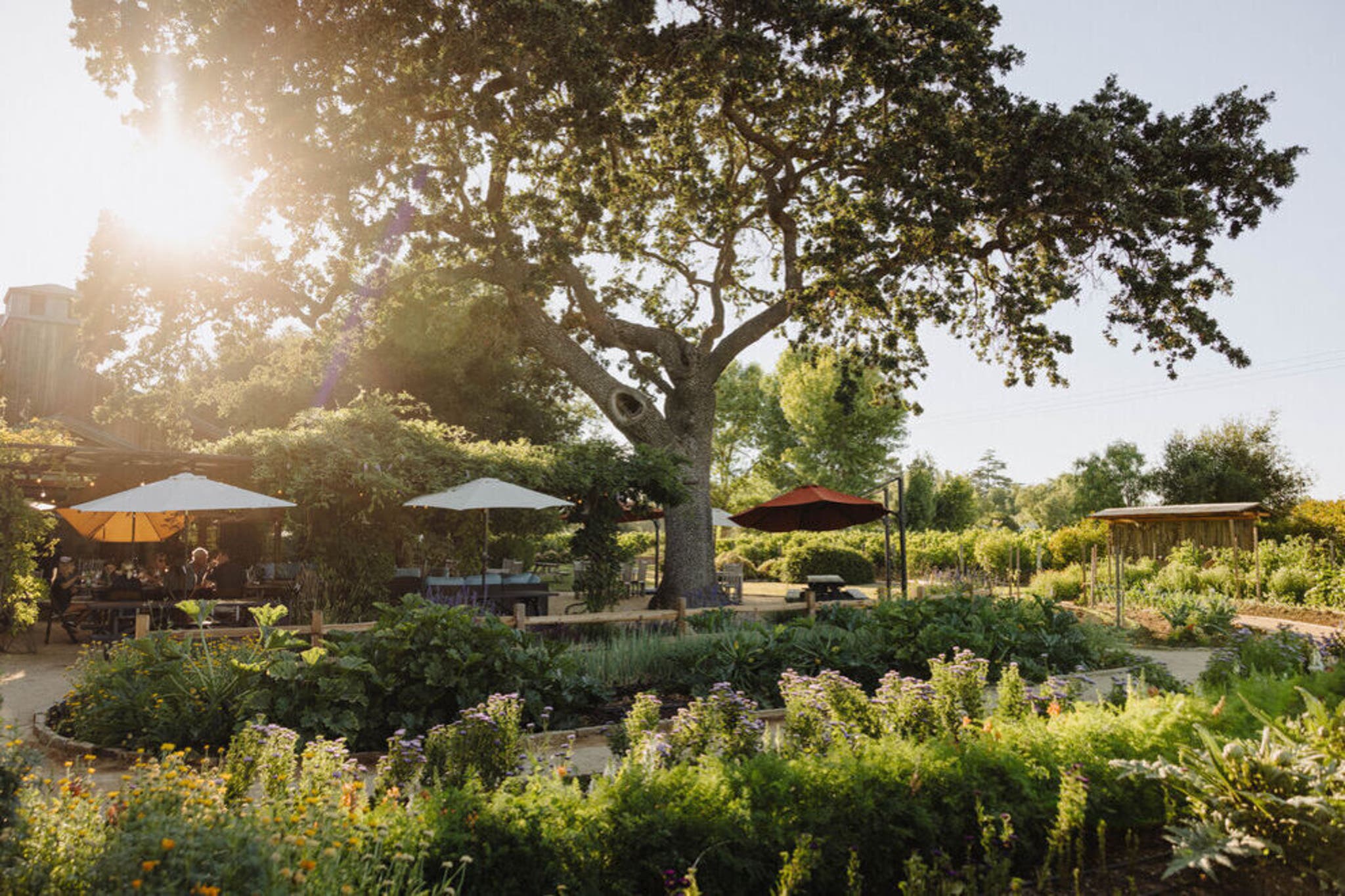 From wine bars to boxed wine, best of the US wine scene in 2025