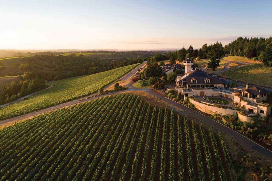 Willamette Valley Vineyards: 2025 USA TODAY 10BEST Readers' Choice Awards