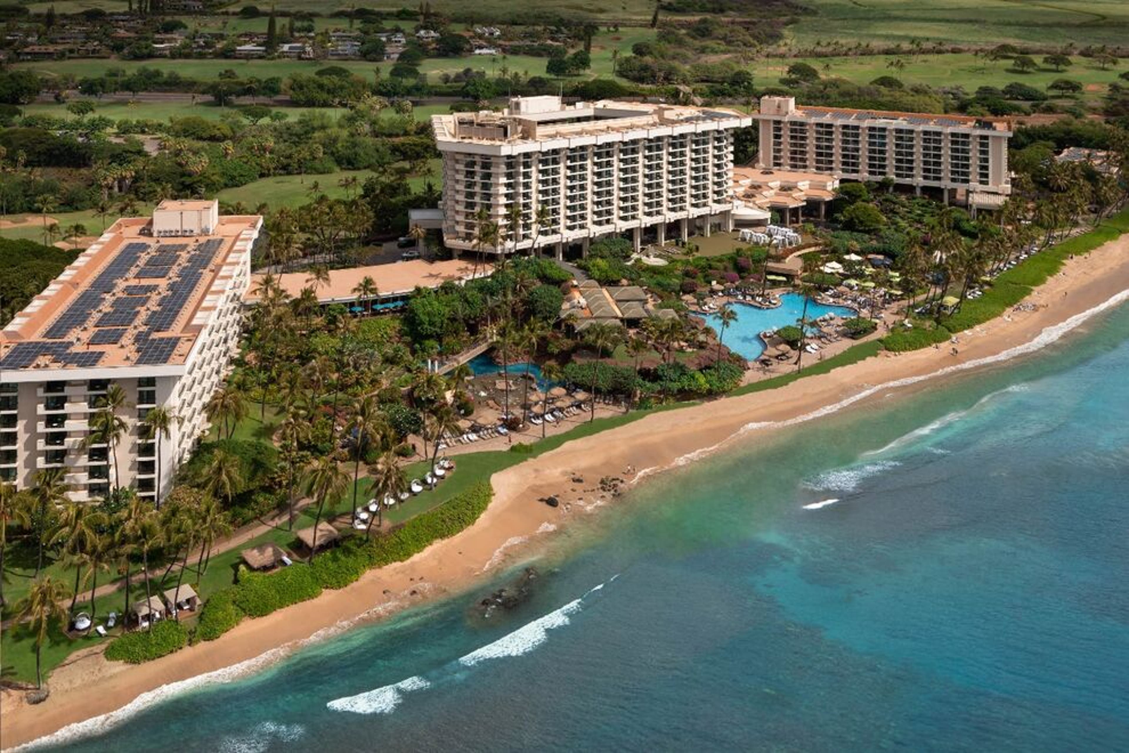 Hyatt Regency Maui Logo Merry Memories At Hyatt Regency Maui Resort