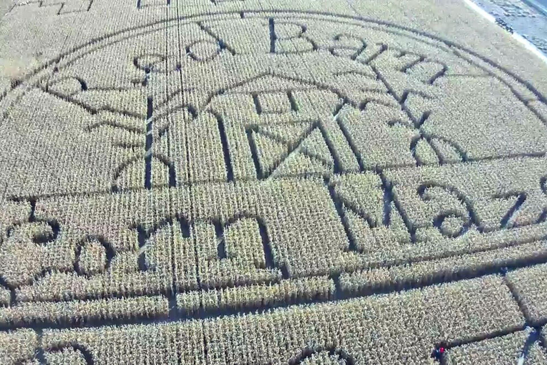 Red Barn Corn Maze: 2025 USA TODAY 10BEST Readers' Choice Awards