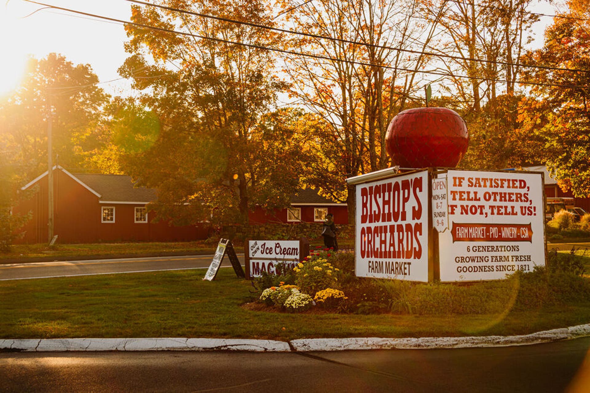 10 best apple orchards in the US for going apple picking