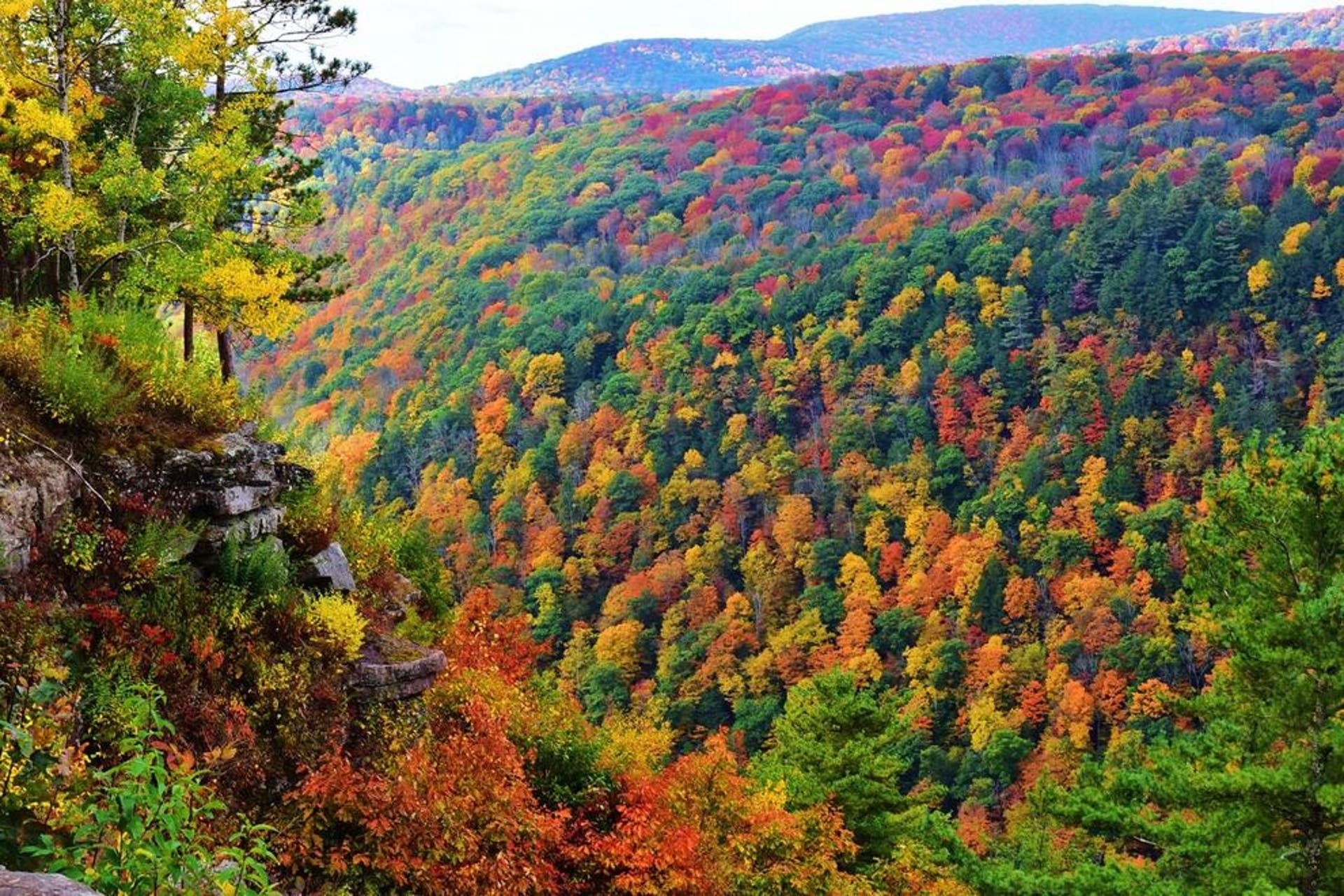 Potter-Tioga, Pennsylvania: 2025 USA TODAY 10BEST Readers' Choice Awards