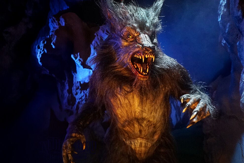 Netherworld Haunted House