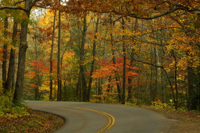 Interactive fall foliage maps that predict 2025 fall color