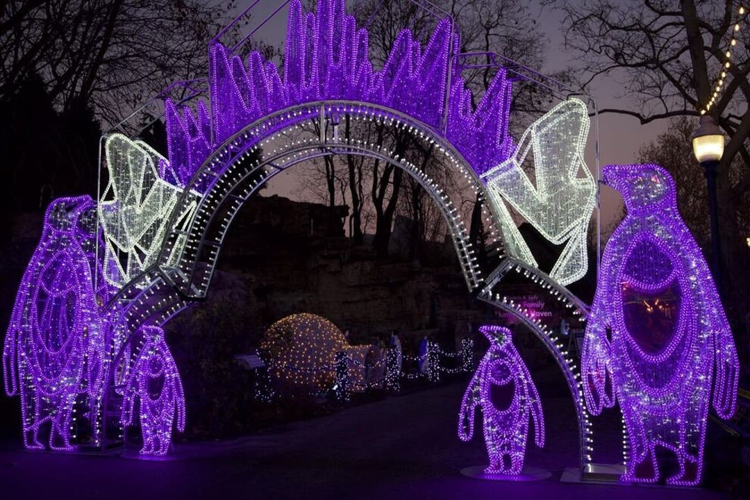 Where to find the 10 best zoo lights events in the US for 2025