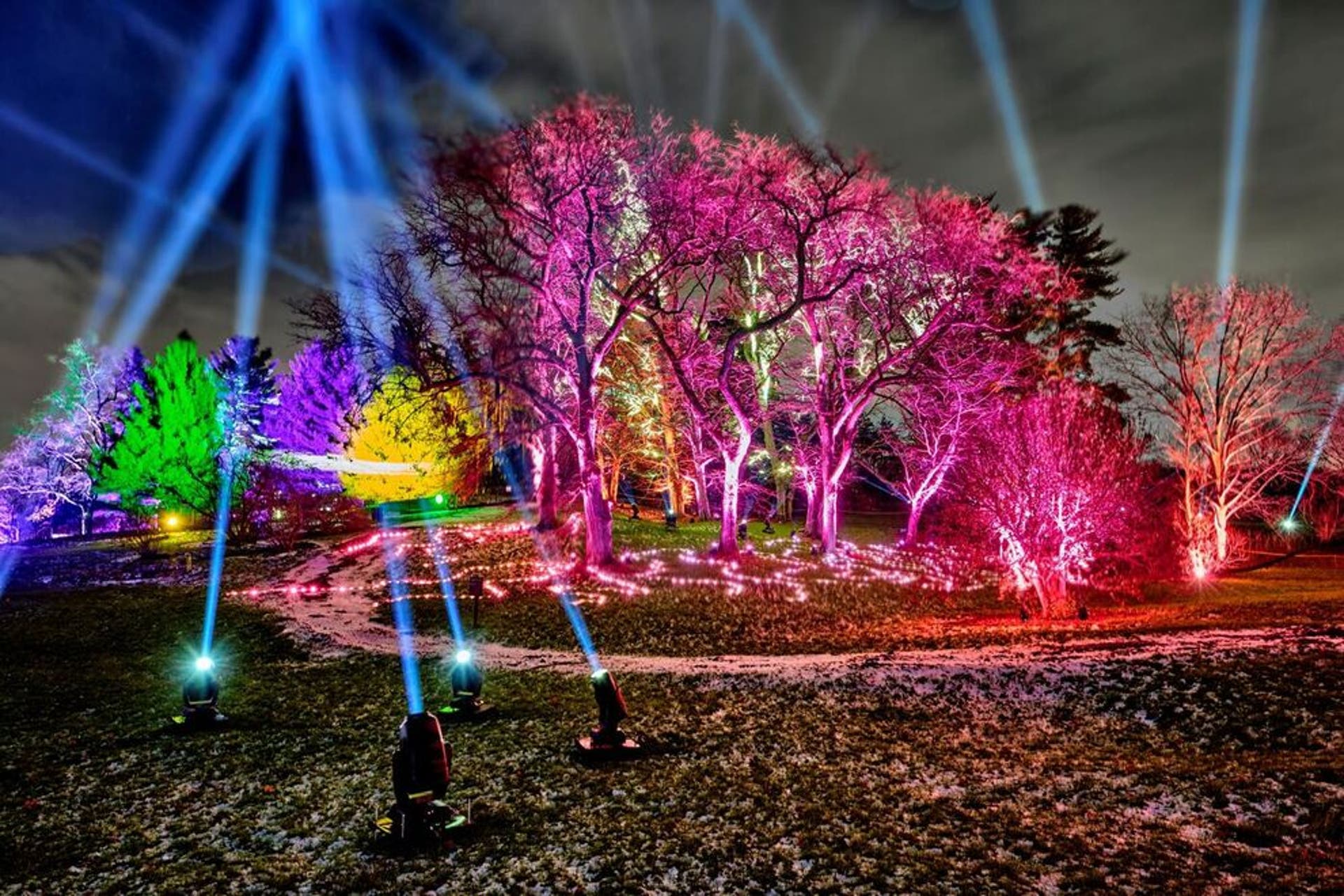What is the Best Botanical Garden Holiday Lights for 2025?