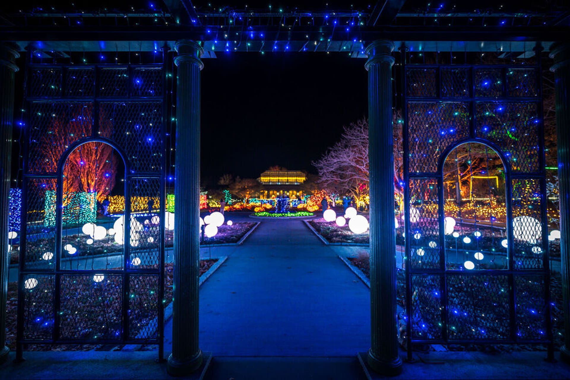 Night Lights at New England Botanic Garden at Tower Hill: 2025 USA ...