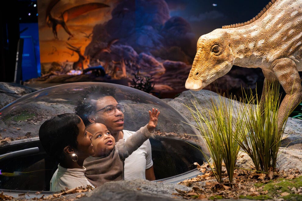 Edelman Fossil Park & Museum of Rowan University: 2026 USA TODAY 10BEST ...