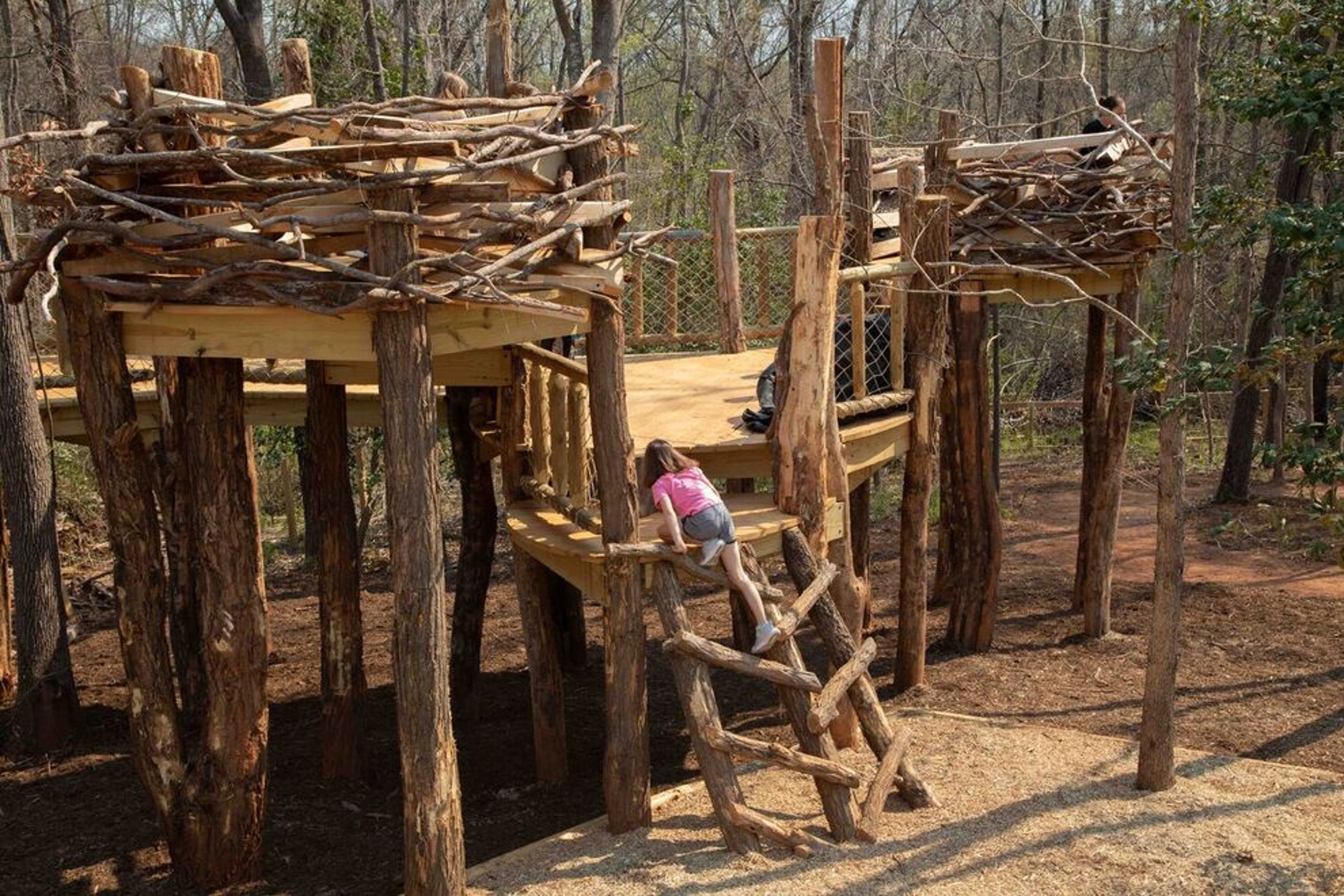 Conestee Nature Playscape: 2026 USA TODAY 10BEST Readers' Choice Awards