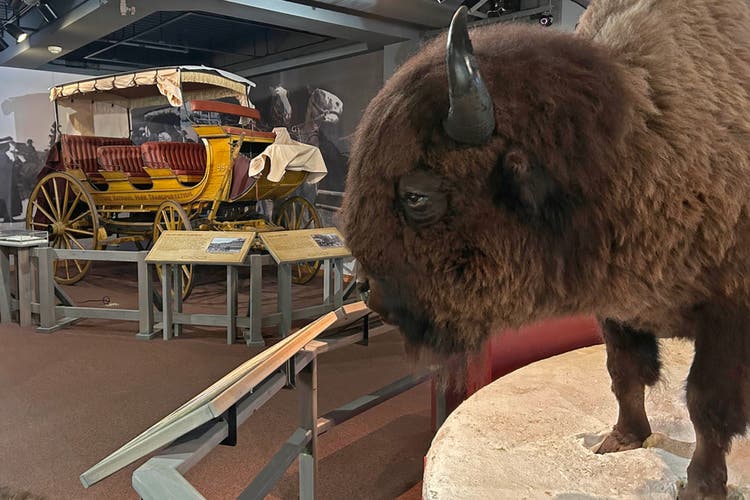 Wyoming State Museum: 2026 USA TODAY 10BEST Readers' Choice Awards