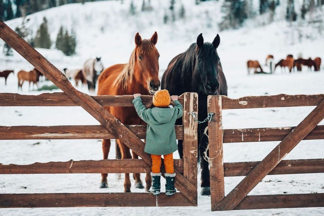 10 best dude ranches in the United States